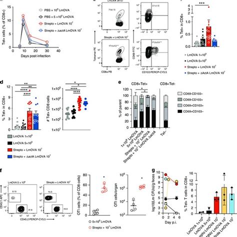 Transient Microbiota Depletion Enhances Accumulation Of Download