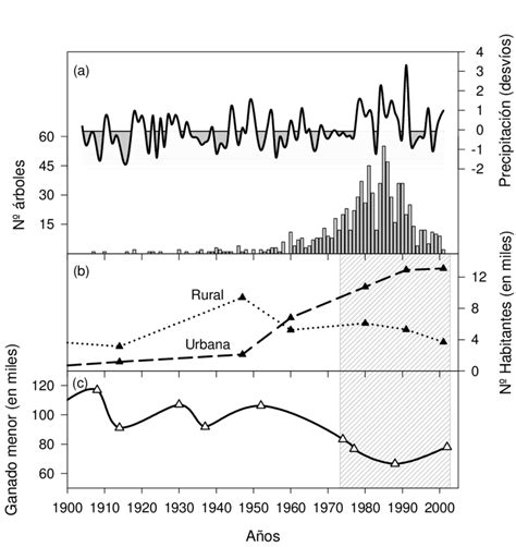 Bosques De Prosopis Ferox En La Quebrada De Humahuaca Estructura De