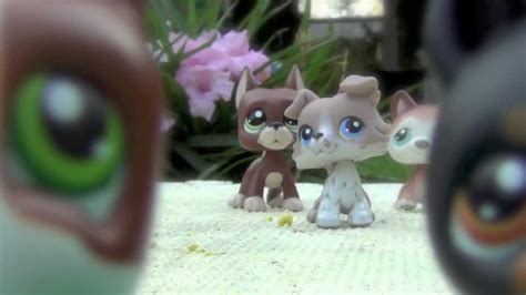 Lps Chasing The Sun Lps Version ☼ Youtube