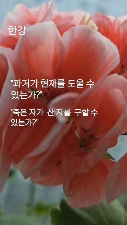 한강 작가한강 노벨문학상 좋은글 생각 좋은말 Youtube