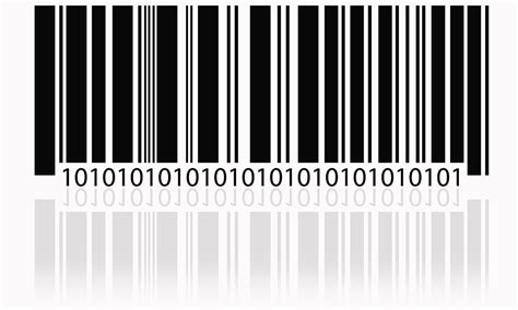 5 Important Barcode Label Types Based On Information Selection Guide