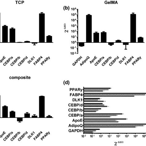 Gene Expression Gene Expression Ratios 2 ΔΔct Method Of Download Scientific Diagram