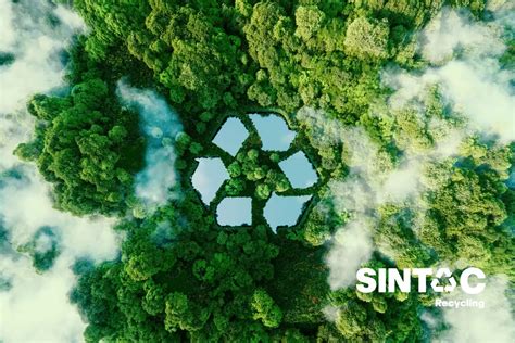 Beneficios Del Reciclaje ¿por Qué Es Importante
