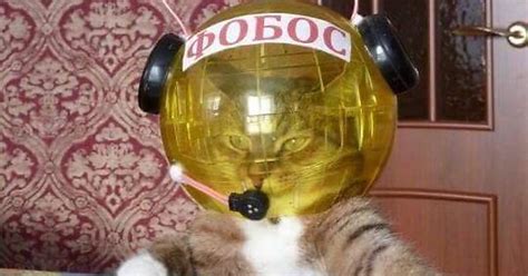 Leaked Photos From The Russian Space Program Album On Imgur