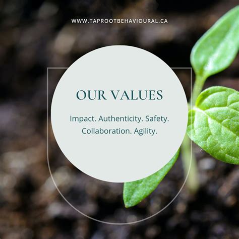 Taproots Core Values Impact Authenticity Safety Taproot