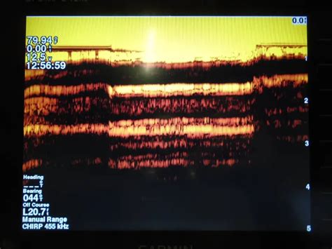 Garmin Gcv 10 Sidevü Clearvü Scanning Sonar Module Gt30 Tm Max