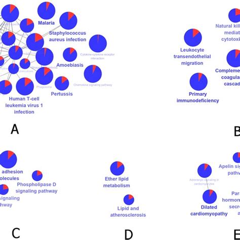 The Intersection Of The Kegg Pathways Between Exome And Transcriptome Download Scientific