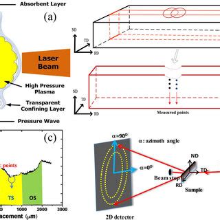 A LSP Sample Cut From The Rolled And Annealed Plate B The Download Scientific Diagram