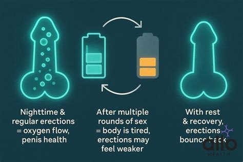 Too Much Sex Cause Erectile Dysfunction Myths And Facts