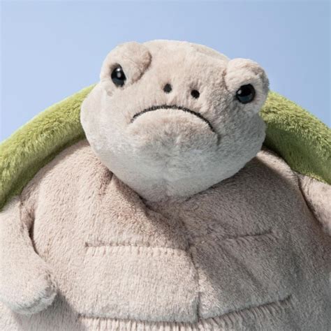Jellycat Timmy Turtle More Than Just A T Narborough Hall