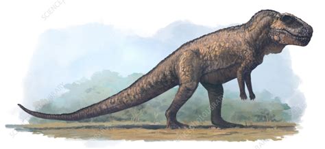 Postosuchus Prehistoric Reptile Illustration Stock Image C0607457