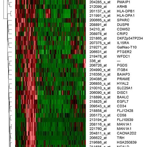 Expression Signature Of Core Binding Factor Amls Two Dimensional Download Scientific Diagram