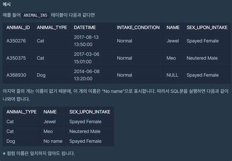 Sql 고득점 Kit Is Null 3 Null 처리하기