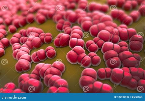 Hundreds Of Meningitis Pathogens Called Menigococcus Stock Illustration
