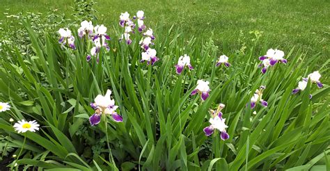 Ursula Goeres Obituary Ethical Death Care Winnipeg