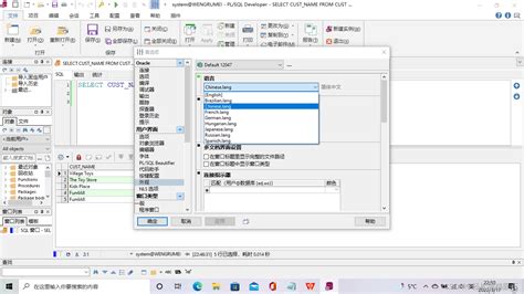 Plsqldeveloper · 语言设置,中英文切换。plsql语言设置中文改英文 Csdn博客 Plsqldeveloper · 语言设置,中英文切换。plsql语言设置中文改英文 Csdn博客
