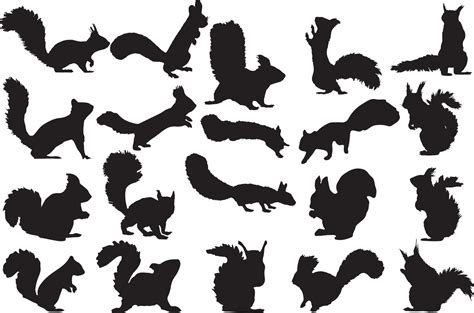 The Set Of Squirrel Silhouette Collection 13130983 Vector Art At Vecteezy