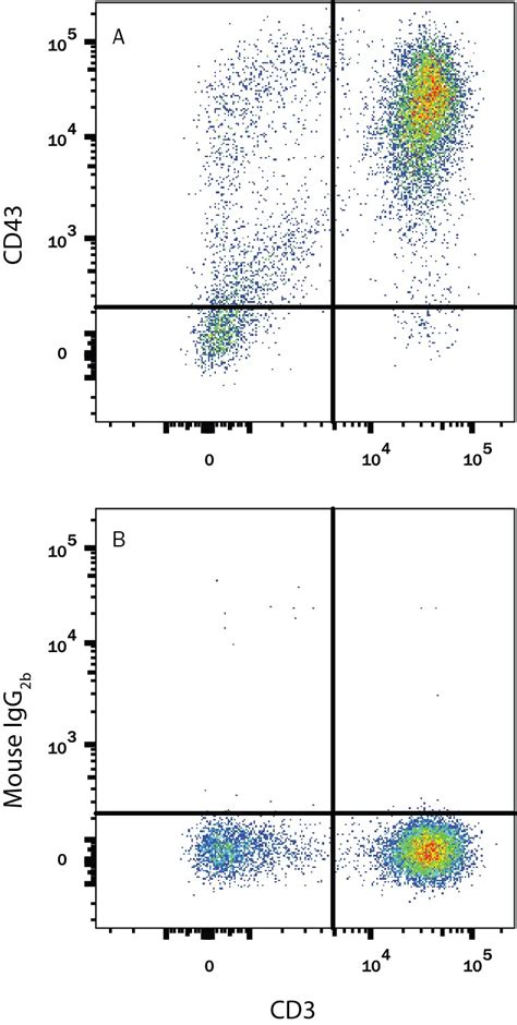 Human Cd43 Pe Conjugated Antibody Fab2038p Randd Systems