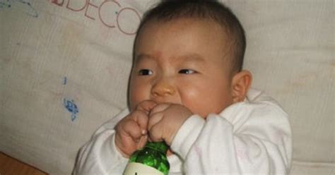 디카갤러리 주당