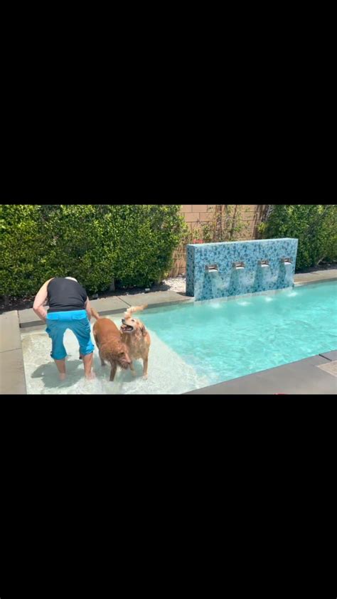 Mitchell Zwick Mitchellzwickdza • Instagram Photos And Videos