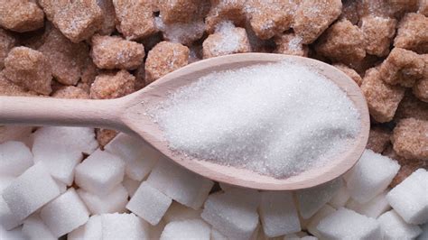 Understanding Congenital Sucrase Isomaltase Deficiency Csid