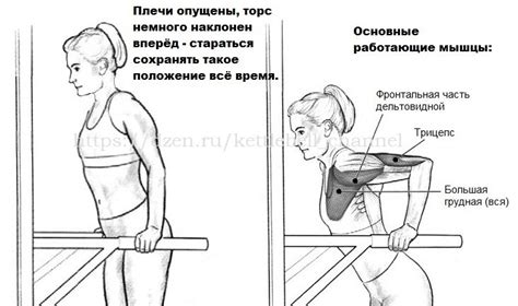 Правильная техника отжиманий на брусьях и подтягиваний | kettlebell | Дзен