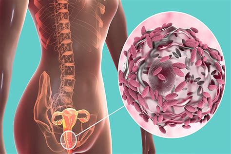 Bv Vs Yeast Infection How Do I Tell The Difference Lifemd