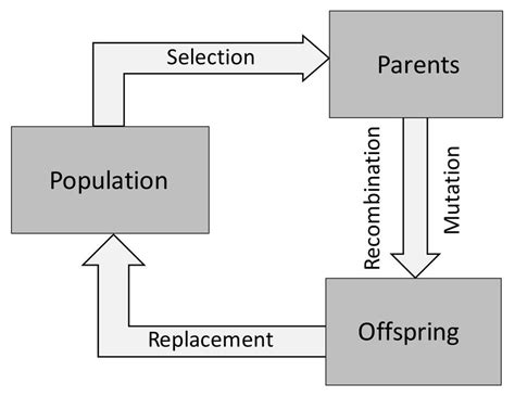 The Evolutionary Cycle Download Scientific Diagram