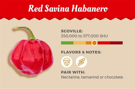 The Worlds Hottest Peppers You Can Cook With