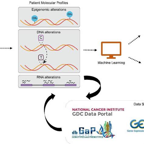 Schematic Representation Of The Workflow For Predictive Modeling Of Download Scientific Diagram