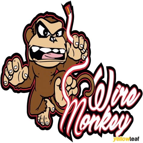 Wire Monkey Reviews And Opening Times