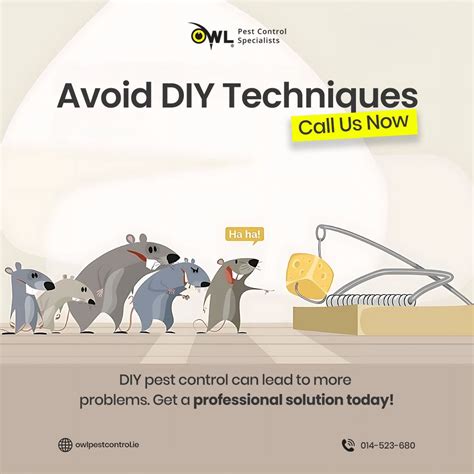 Pestcontroldublin Professionalpestsolutions Homesafety