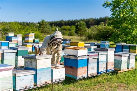 Premium Photo A Beekeeper In Protective Gear Standing By Beehives A