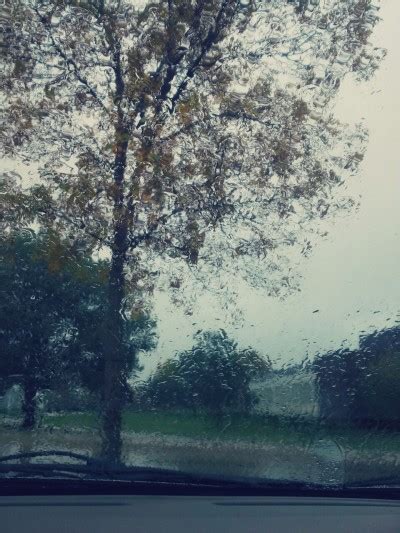 Rain Tumbex