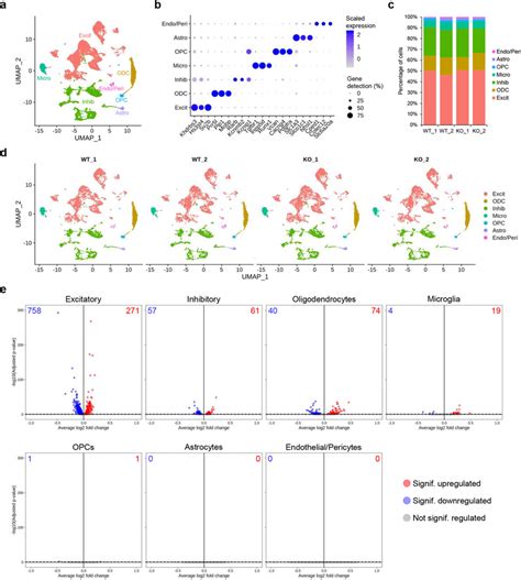 Snrna Seq Analysis Of The Cerebral Cortex Of Crty Wt And Crt−y