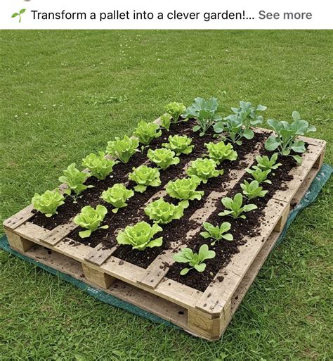 How To Build A Raised Garden Bed From Pallets Artofit