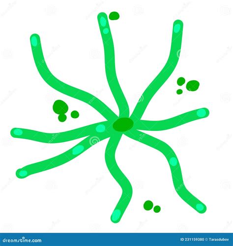 Microalgae Aquatic Organisms And Bacteria Vector Illustration