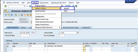 Sap Delivery Output Gi Posted Condition