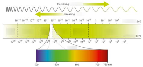 Diagram Of Electromagnetic Spectrum Quizlet