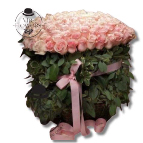120 Rosas Rosa Mr Flowers