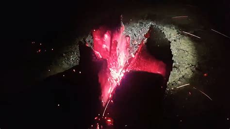 Как удалить пень дешево и эффективно