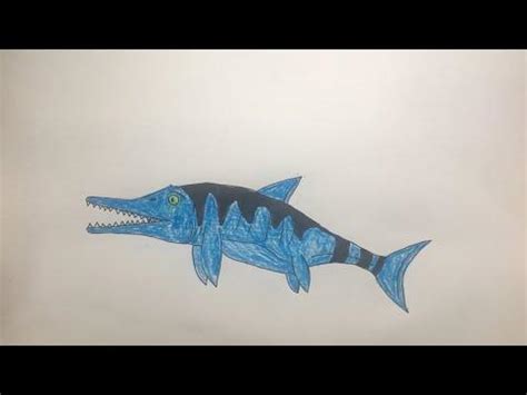 Cách Vẽ Khủng Long Ichthyosaurus How To Draw Ichthyosaurus Youtube