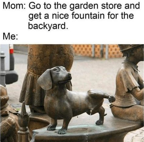 Full Size Dump Album On Imgur