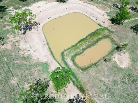 Grass Roots Cattle Property Alton Downs Rod Harms Rural
