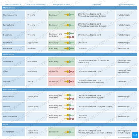 Neurotransmitters Types Functions And Disorders Kenhub