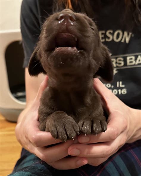 I Cant Get Over This Picture Her Tiny Teeth Poking Through R