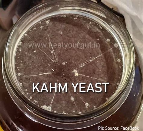 Why White Layer Develops On Water Kefir Bad Smell Or Foul Taste In