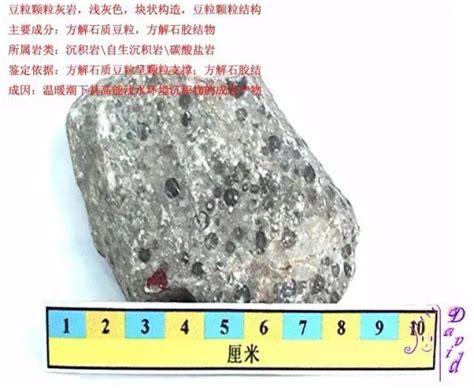 常见石头的分类（三大岩类190种岩石鉴定图册）