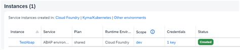Error Logging In Eclipse Editor To The Sap Cloud S Sap Community