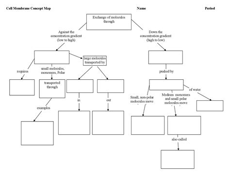 Cell Membrane Concept Map Schemes And Mind Maps Cell Biology Docsity